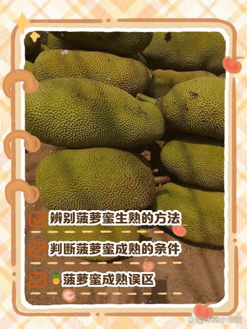 菠萝蜜会越放越熟吗图标