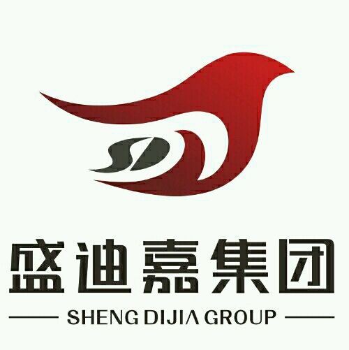 广州盛迪嘉电子商务有限公司图标