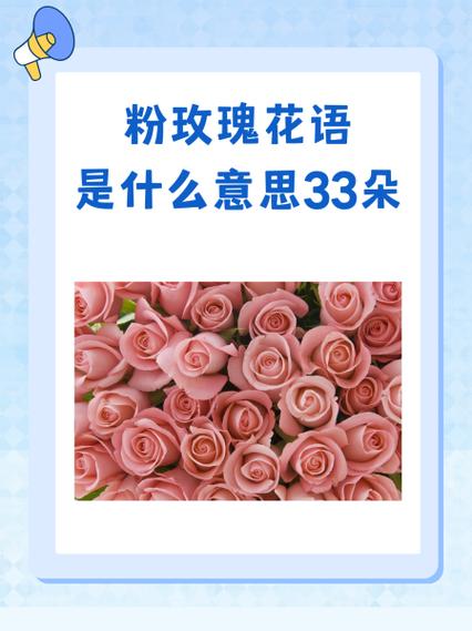 13朵玫瑰代表什么意思截图