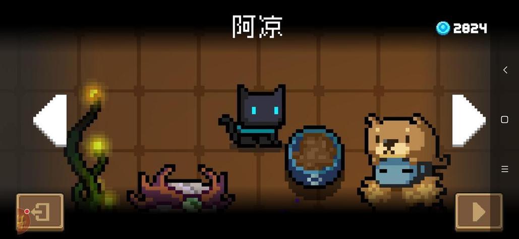 元气骑士怎么改实名图标