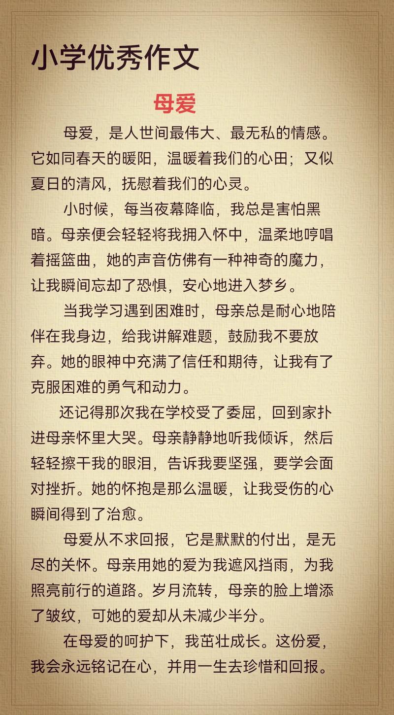 母爱往事(子午小说网)图标