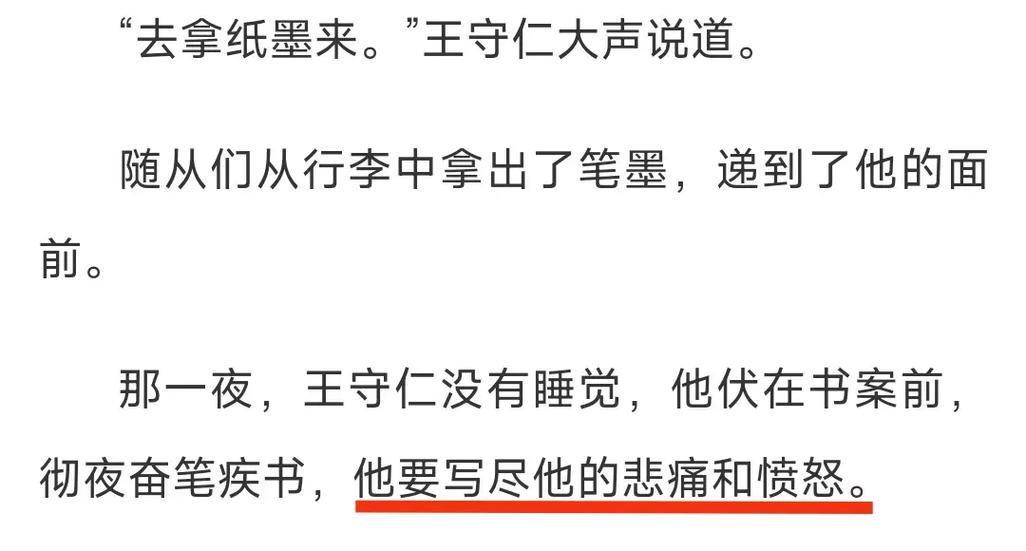 宁王小说图标