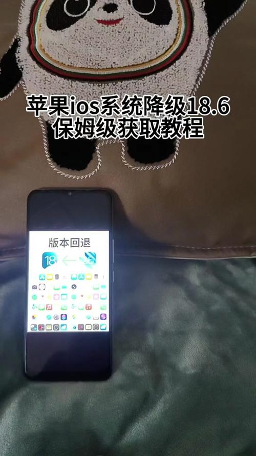 ios软件回退上一个版本截图