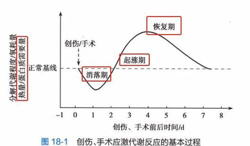 iphone侧边屏幕没反应