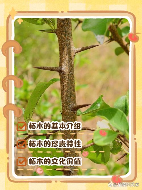 北木是什么意思图标