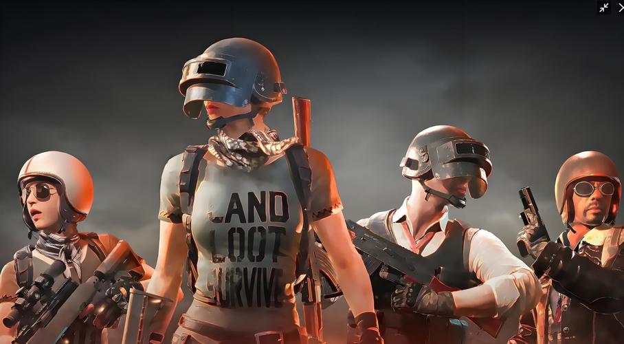 pubgtoolpro官网版图标