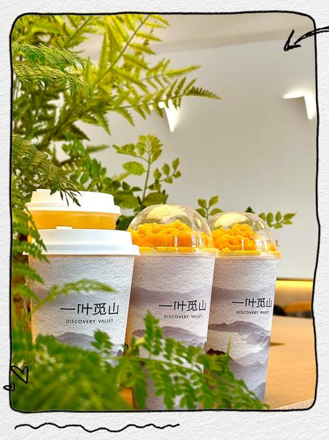 一叶觅山奶茶图标