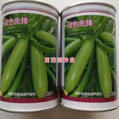 thegreenparty简介图标