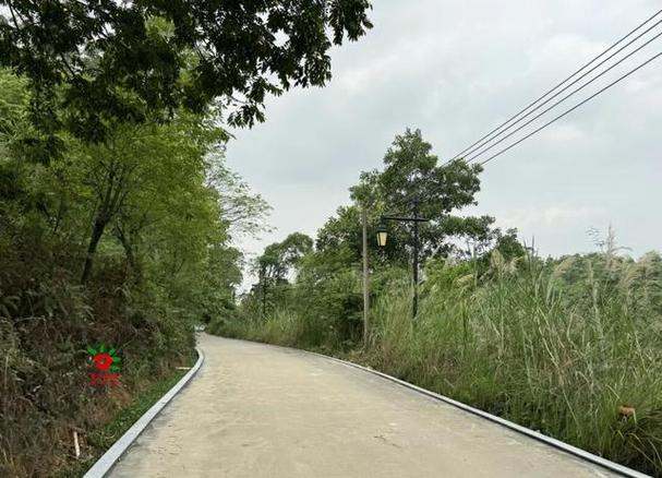 花都论坛图标