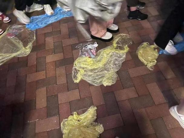 上海迪士尼免排队截图