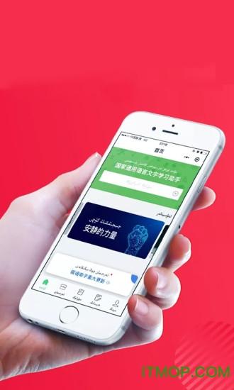 dododex怎么调中文图标