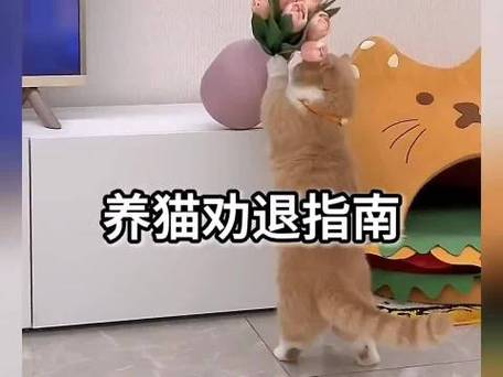 怎样让养猫人放弃养猫图标
