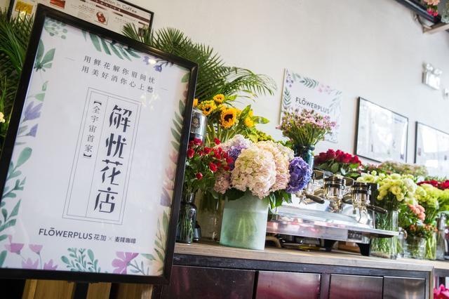 解忧花店赚钱图标