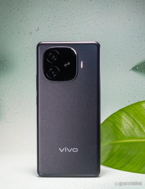 vivo钱包是干什么用的图标