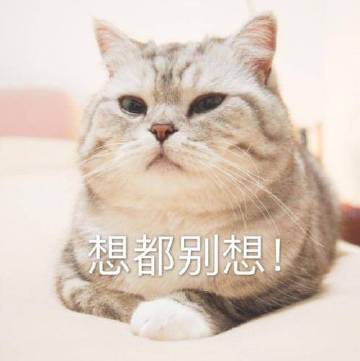 空空by猫小蓝全文免费阅读最新章节列图标