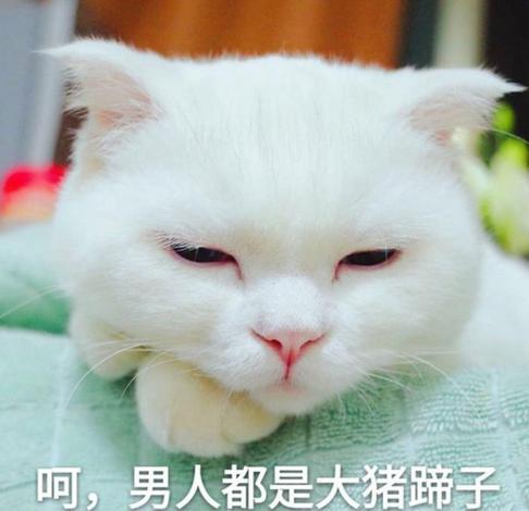 男人都是大猪蹄子配图图标
