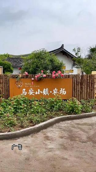 小镇农场图标