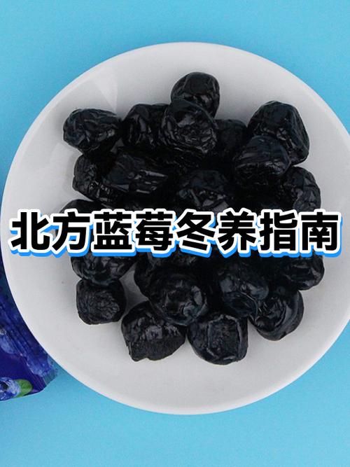 吃蓝莓的季节图标