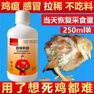 预防鸡生病用什么药好截图