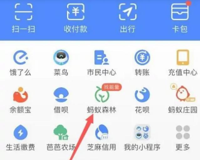 蚂蚁森林怎么让别人偷不到能量图标