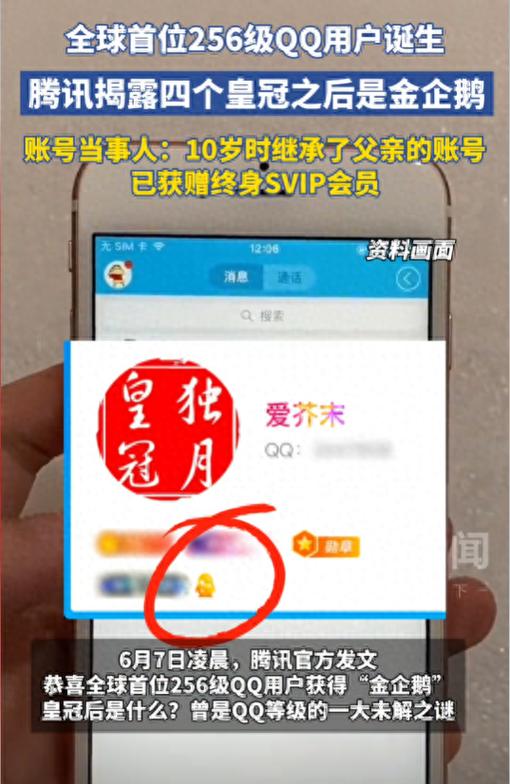 免费领qqsvip会员截图