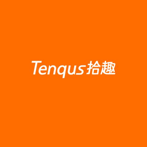 拾趣科技图标