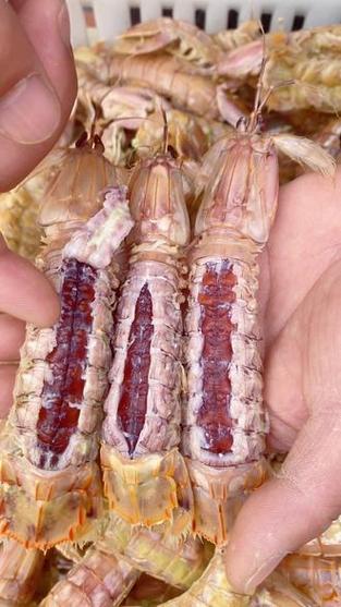 皮皮虾壁纸软件图标