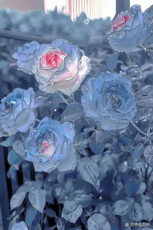 碎冰蓝玫瑰花图标