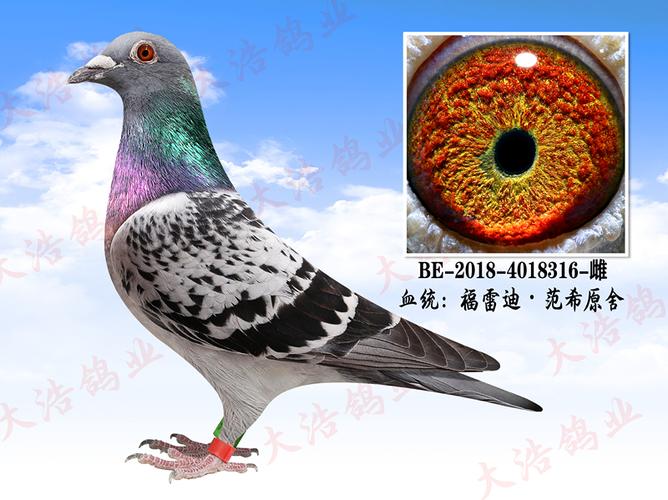 范蠡和西施野史的精彩故事情节图标