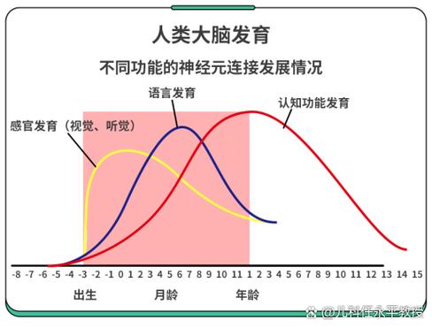 生长发育繁殖和未利用的能量截图