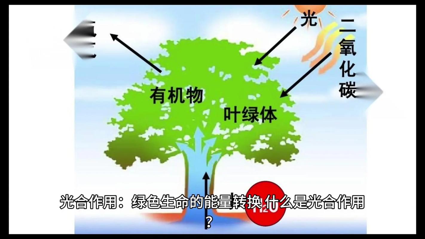 绿色能量有什么好处图标