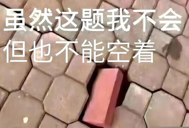 这题我不会但我不能空着