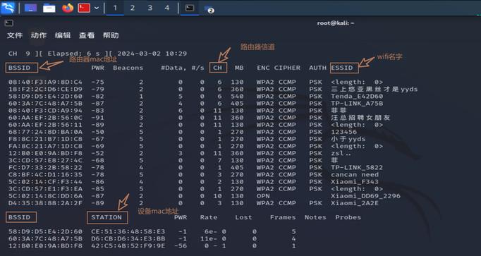 kali入门教程截图