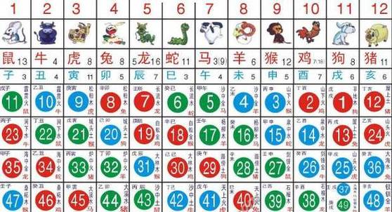 后肖有哪些生肖图标