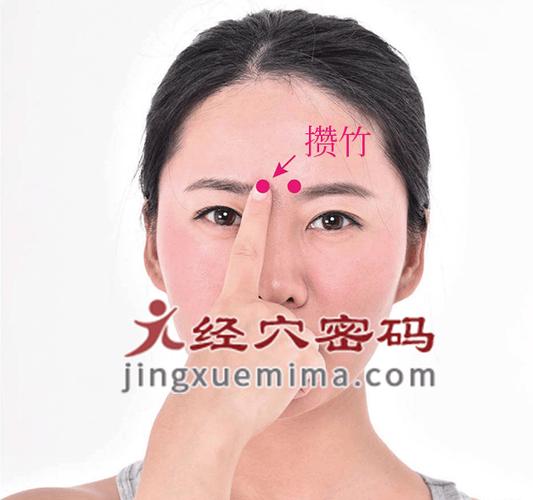 攒竹的准确位置图图标