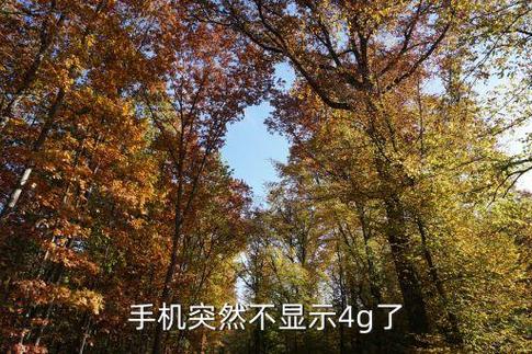 手机显示有4g信号却无法打电话图标