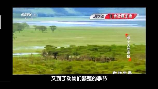 1动物世界视频app新闻图标