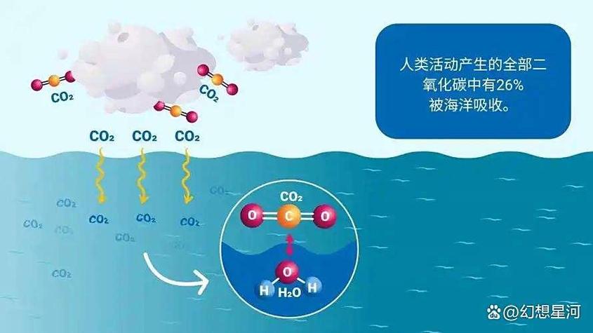 碳库官网图标