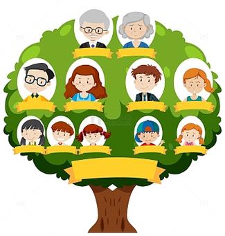Family Tree图标