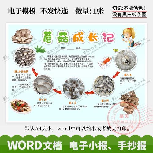 蘑菇一周成长记日记图标