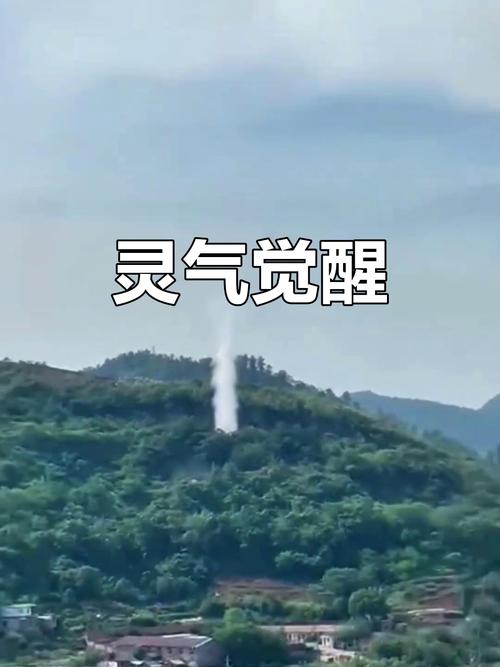 灵气钟育截图