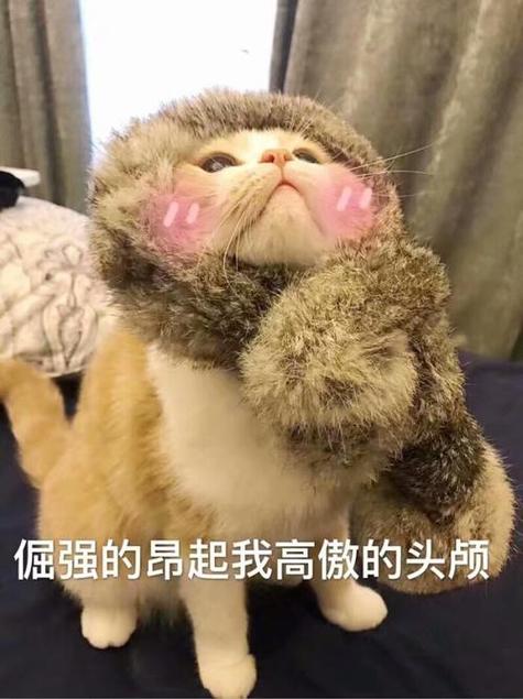 抬头看表情包图标