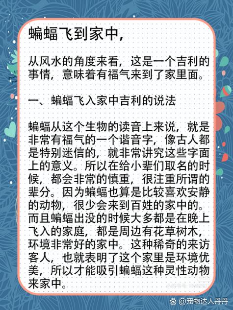 蝙蝠来家里有什么预兆截图