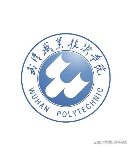武汉职业技术学院教务系统图标