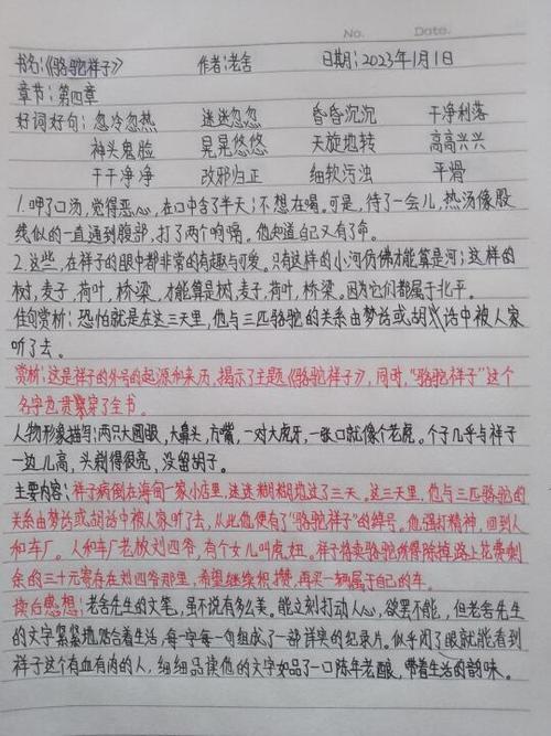 骆驼祥子阅读摘抄图标