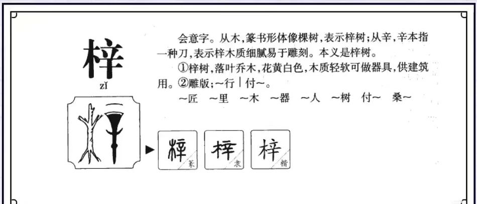 梓的意思和含义图标