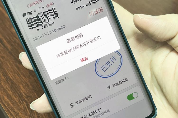 支付宝无感支付怎么用图标