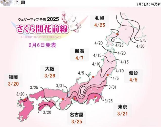 樱花花期几月到几月