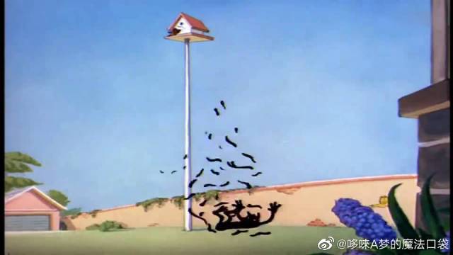 自己挖的坑自己要填满