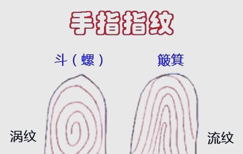 手指没有指纹的原因图标